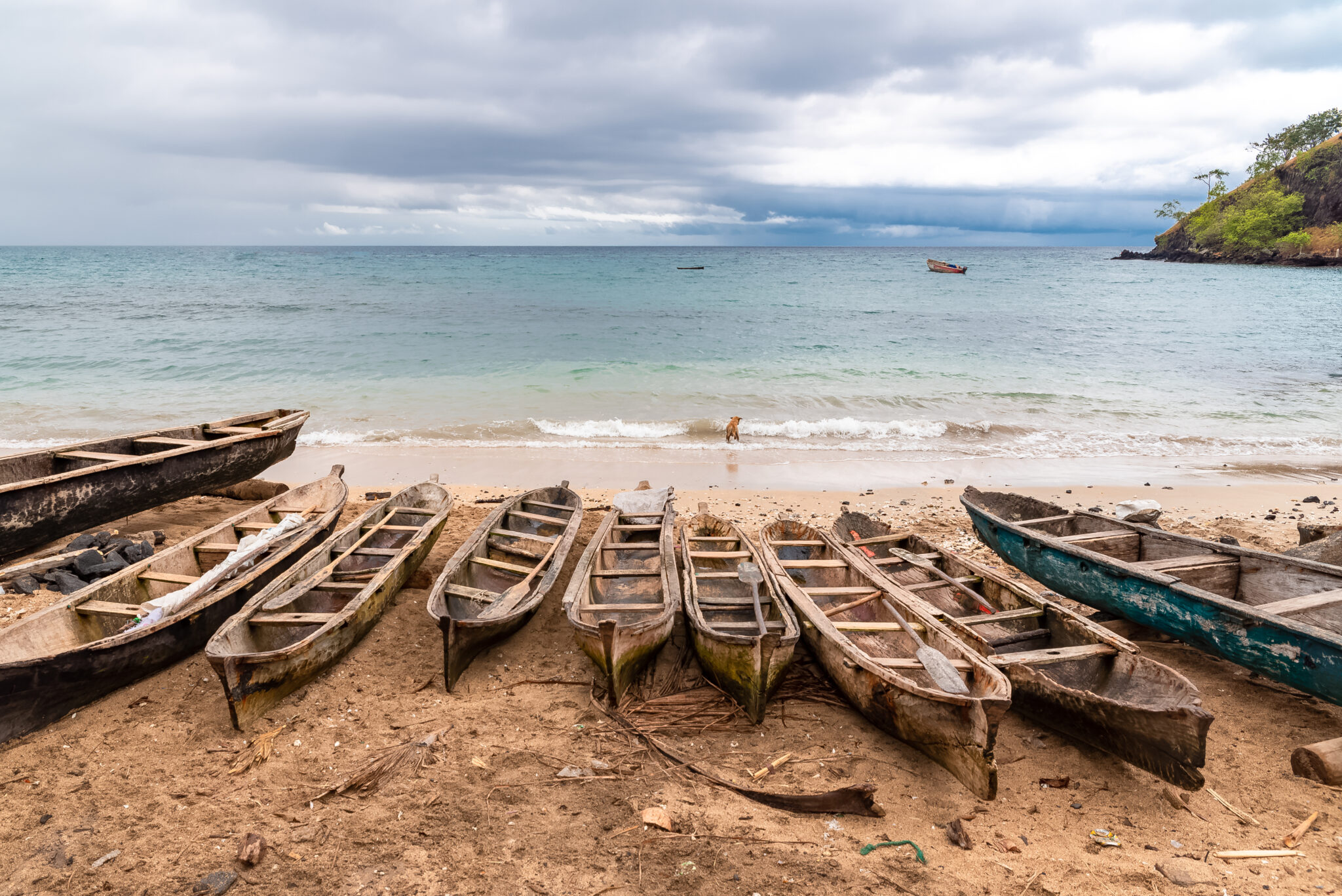 ILAJE NATIONAL ASSOCIATION of USA (INAUSA) INC – ILAJE NATIONAL ...